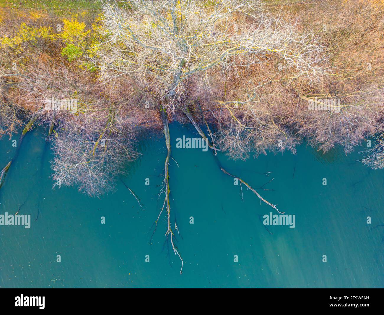 Aerial view of beautiful smooth green waters of a lake on a sunny ...