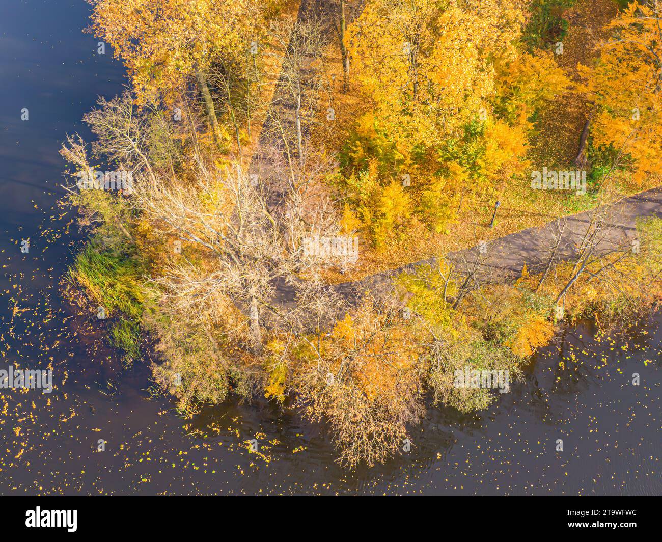 Aerial camera shot forest road hi-res stock photography and images - Alamy