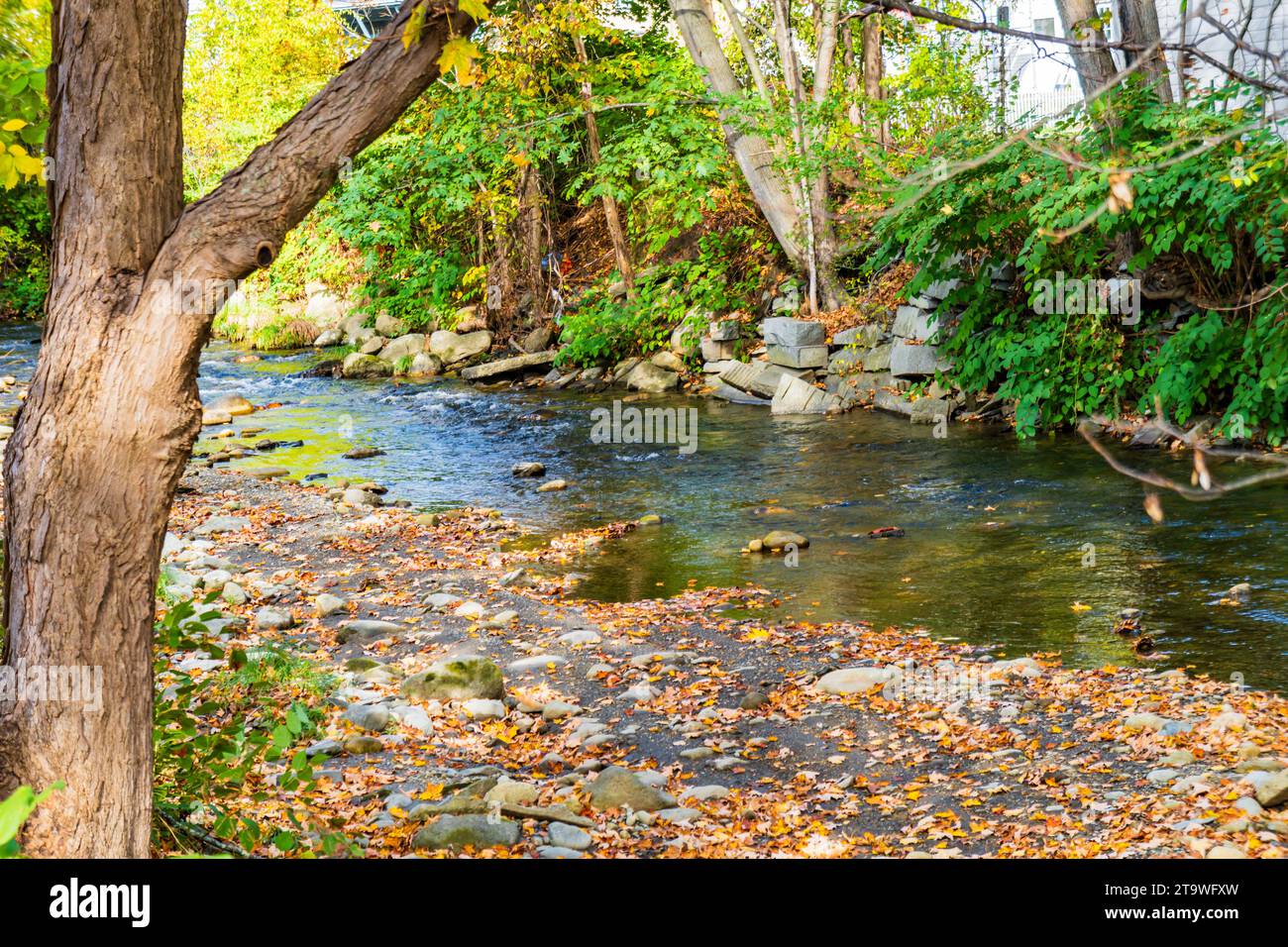 river flowing downstream in autumn on a Vermont fall day Stock Photo ...