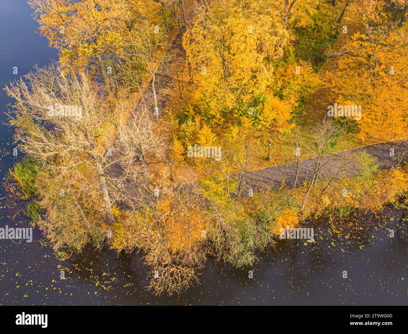 Aerial camera shot forest road hi-res stock photography and images - Alamy