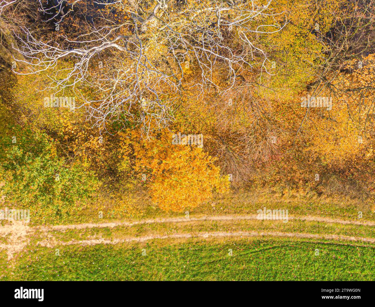 Aerial camera shot forest road hi-res stock photography and images - Alamy