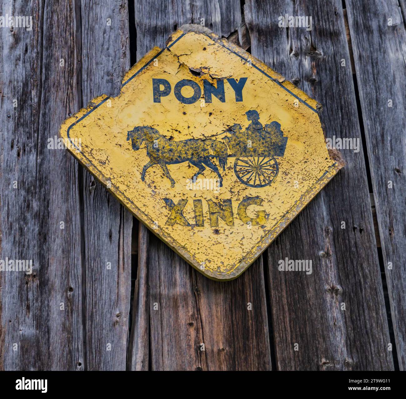 Painted pony hi-res stock photography and images - Alamy