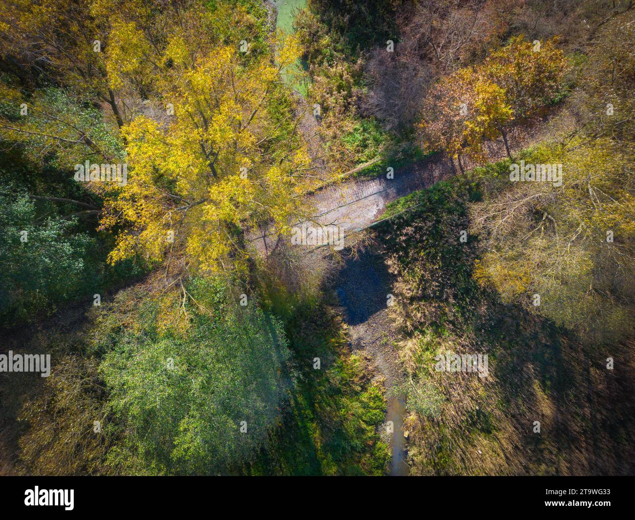 Flying pine trees in amazing hi-res stock photography and images - Alamy