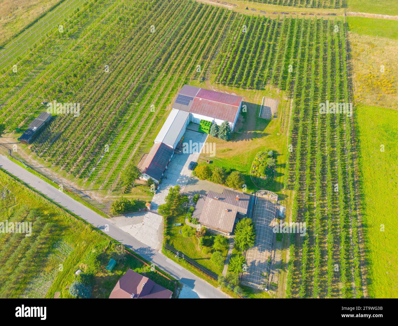 Crop sprayer traktor spraying pesticide or herbicides field. Wind ...