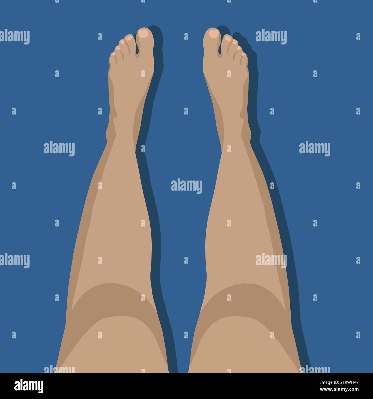 Vector isolated illustration of female legs. Leg depilation Stock ...