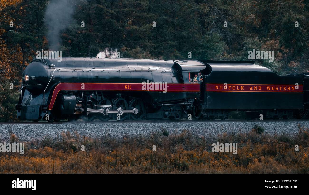 An old-fashioned steam train chugging through a lush, green forest ...