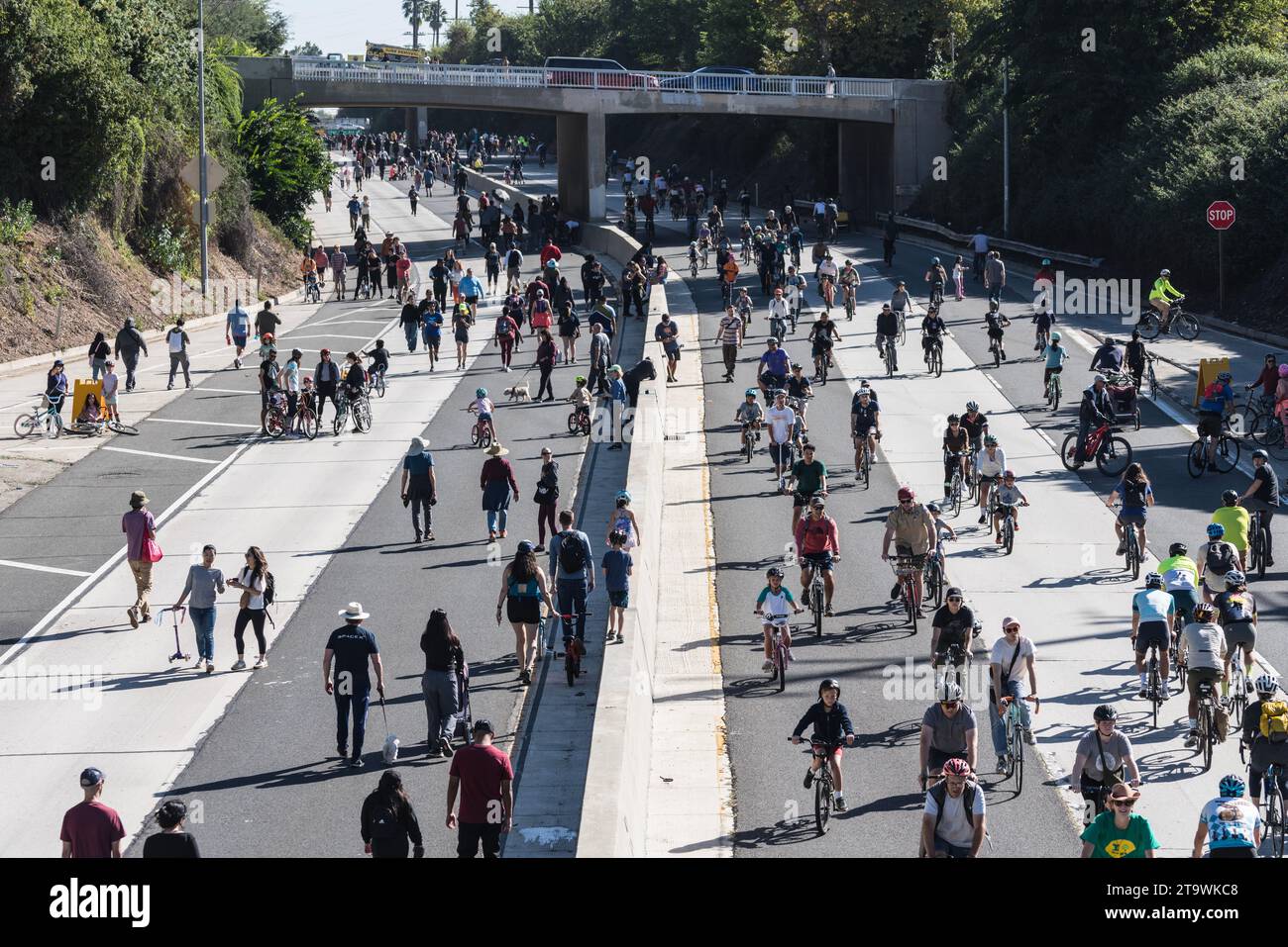 South Pasadena, California, USA - October 29, 2023: Crowds of bike ...