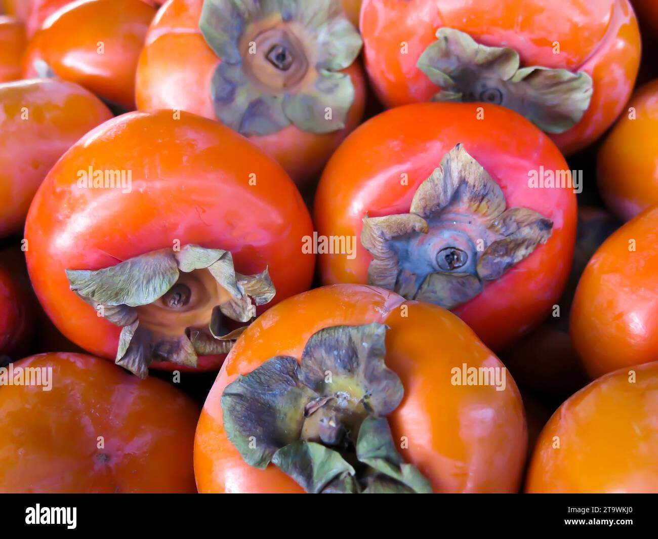 Close Up - Fuyu Persimmons Stock Photo - Alamy