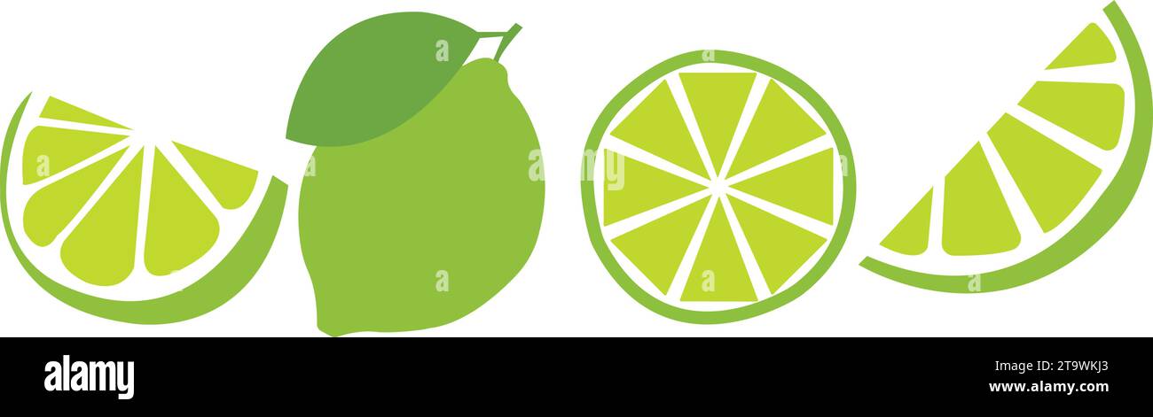 Line Slice of fresh green lemon summer set. Fresh lemon fruits ...