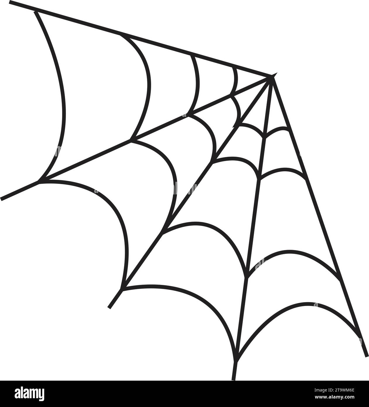 Spider web on transparent background. Spiderweb net. Spooky Halloween ...