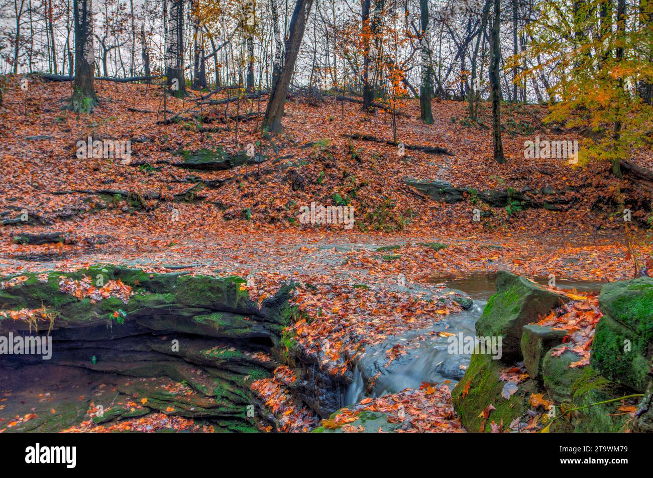 View of Dundee Falls in Autumn, Beach City Wilderness Area, Ohio Stock ...