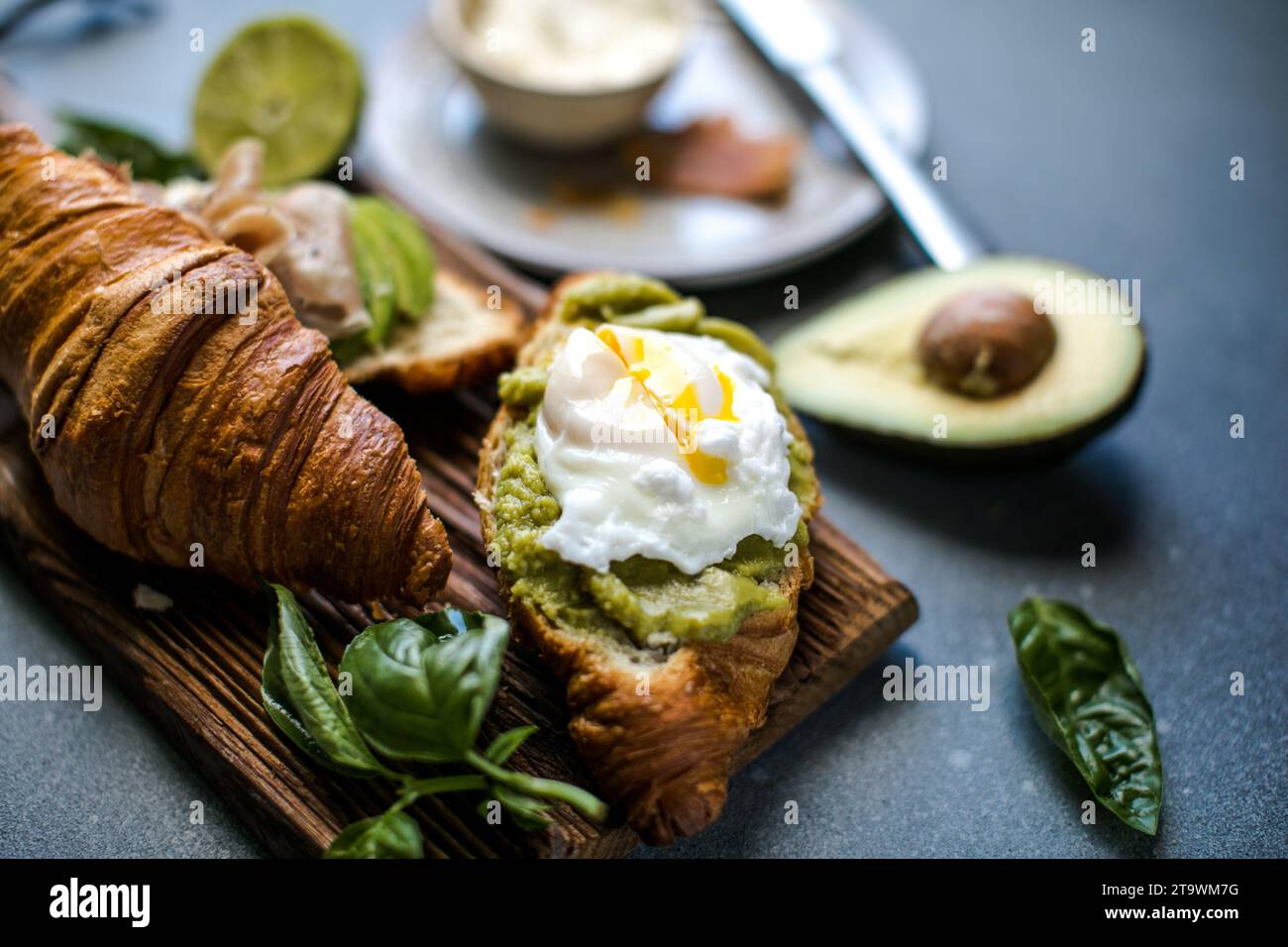 Croissant sandwiches with jamon ham serrano paleta iberica, avocado ...