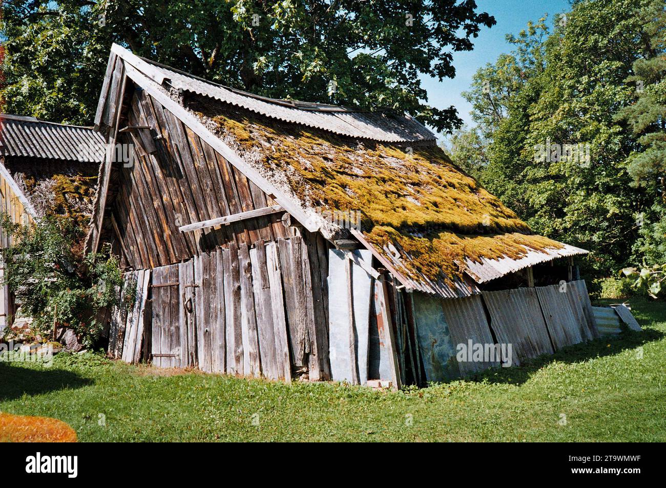 Old crooked house with moss on roof in countryside Stock Photo - Alamy