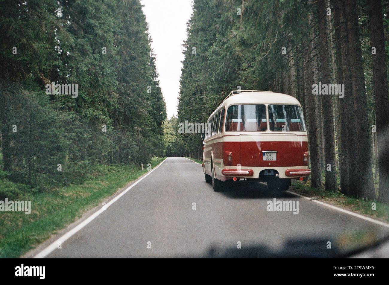 Old retro red and white bus driving through forest Stock Photo - Alamy