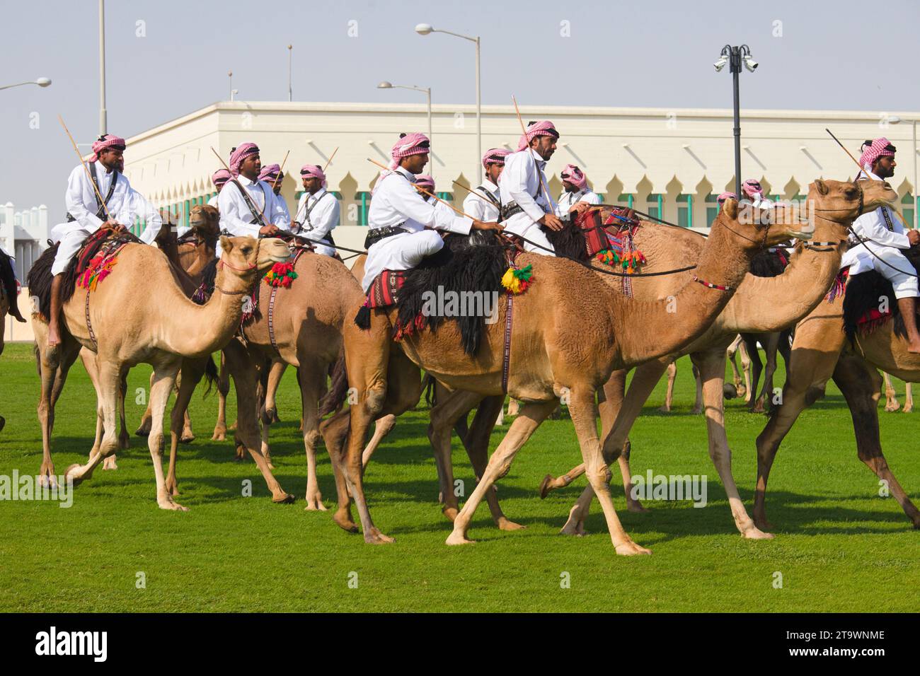 Arabian cavalry hi-res stock photography and images - Alamy