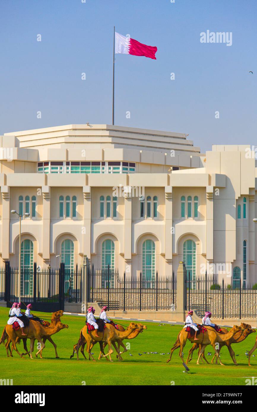 Qatar, Doha, Emiri Palace, camel cavalry, arabian camels, dromedary ...