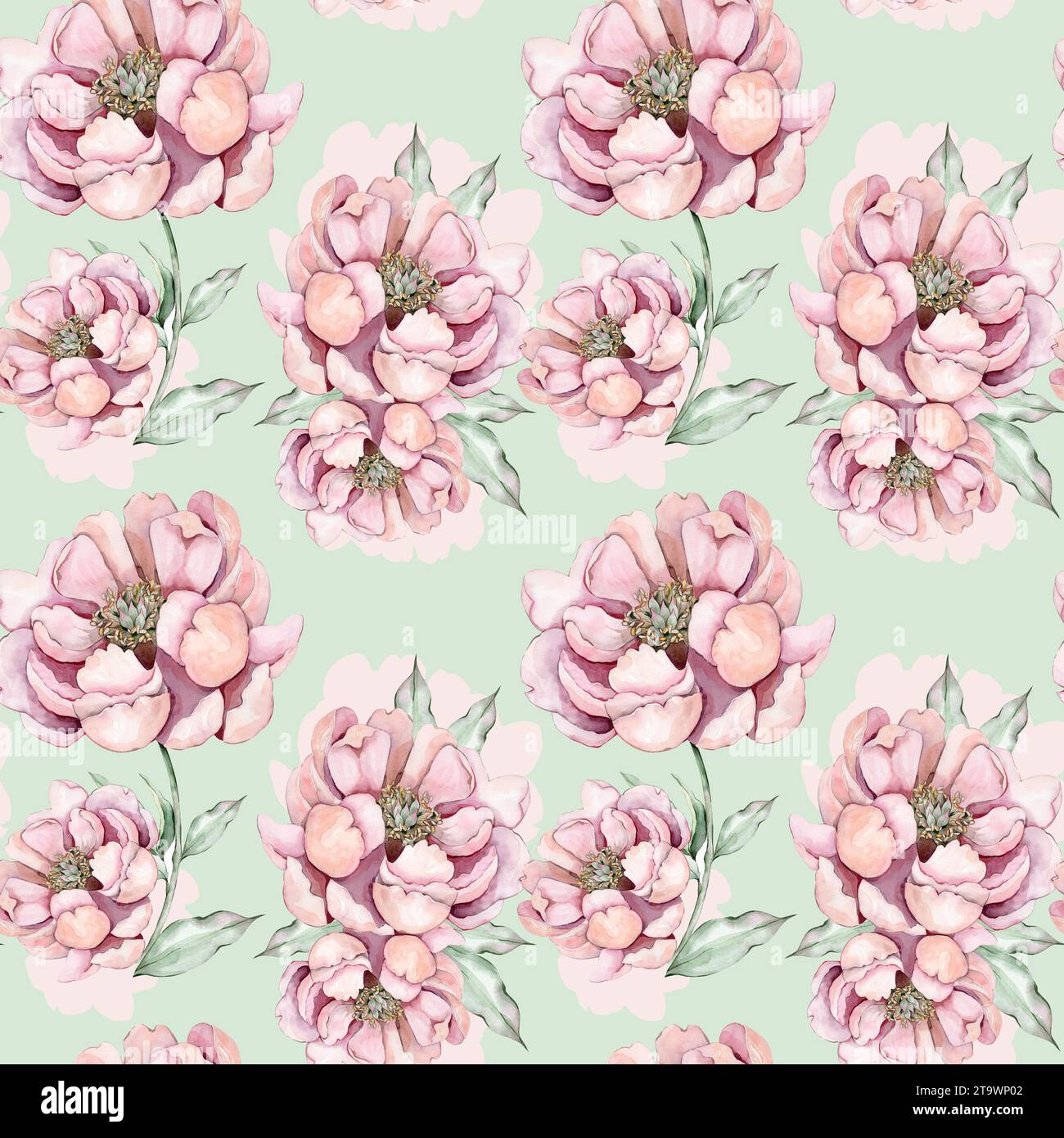 Pink watercolor peony flowers hi-res stock photography and images - Alamy