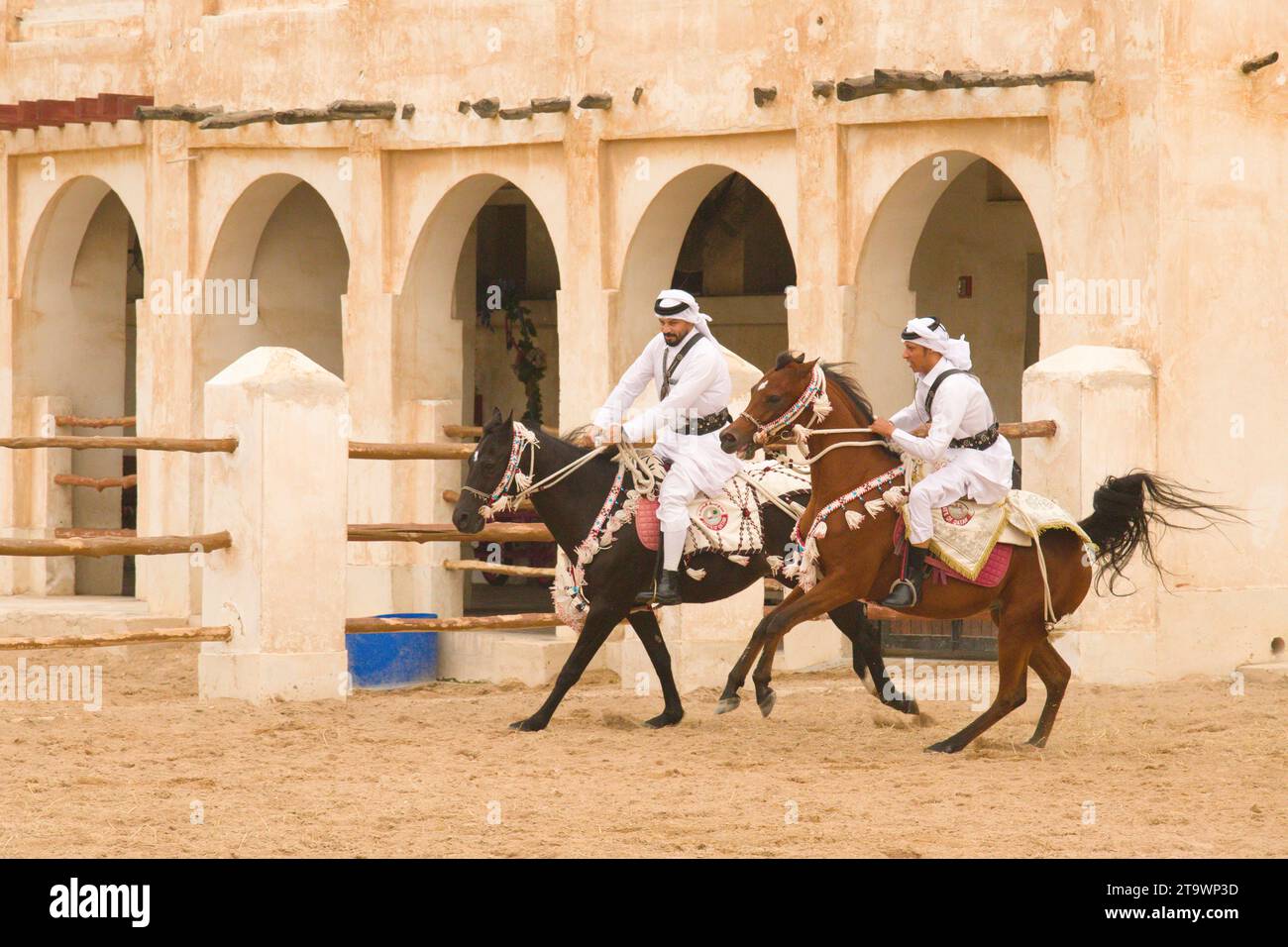 Qatar doha horse hi-res stock photography and images - Alamy