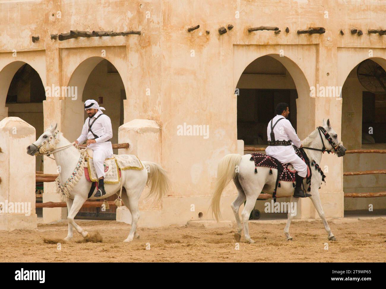 Qatar doha horse hi-res stock photography and images - Alamy