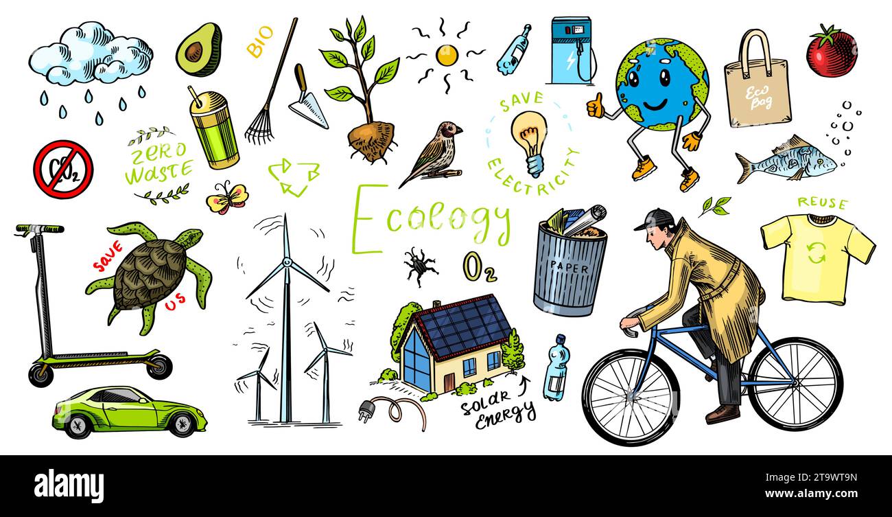 Engraved ecological drawing hi-res stock photography and images - Alamy