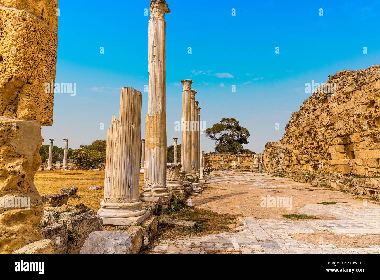 The colonnaded Palaestra of the gymnasium at the ancient Roman city of ...