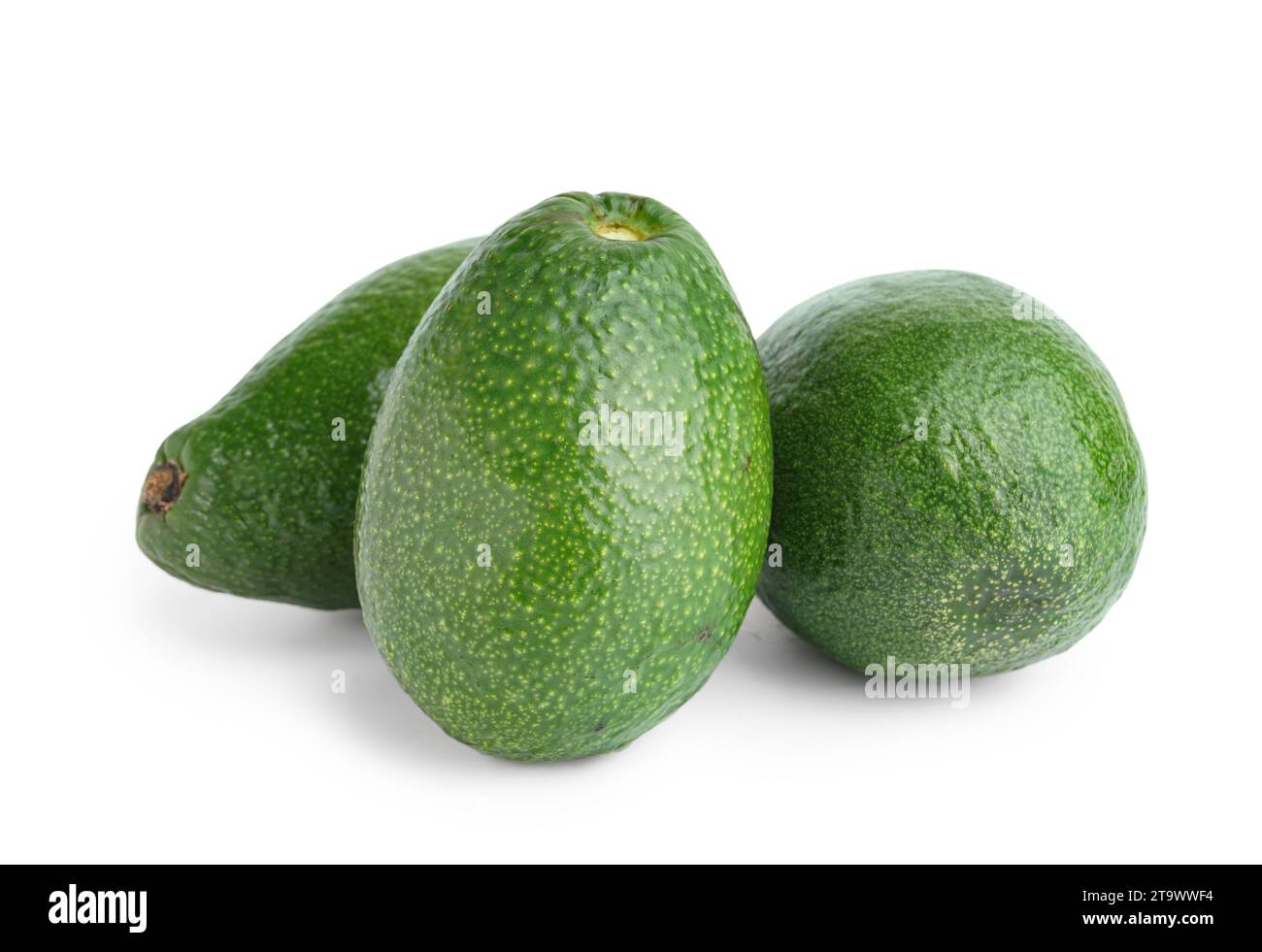 Fresh ripe avocados on white background Stock Photo - Alamy
