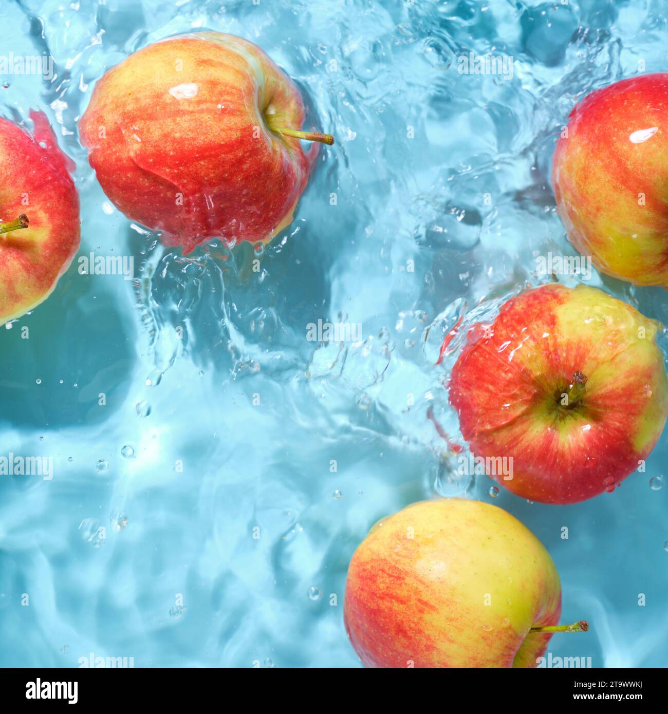Five ripe apples floating in a crystal clear body of water, in sunlight ...