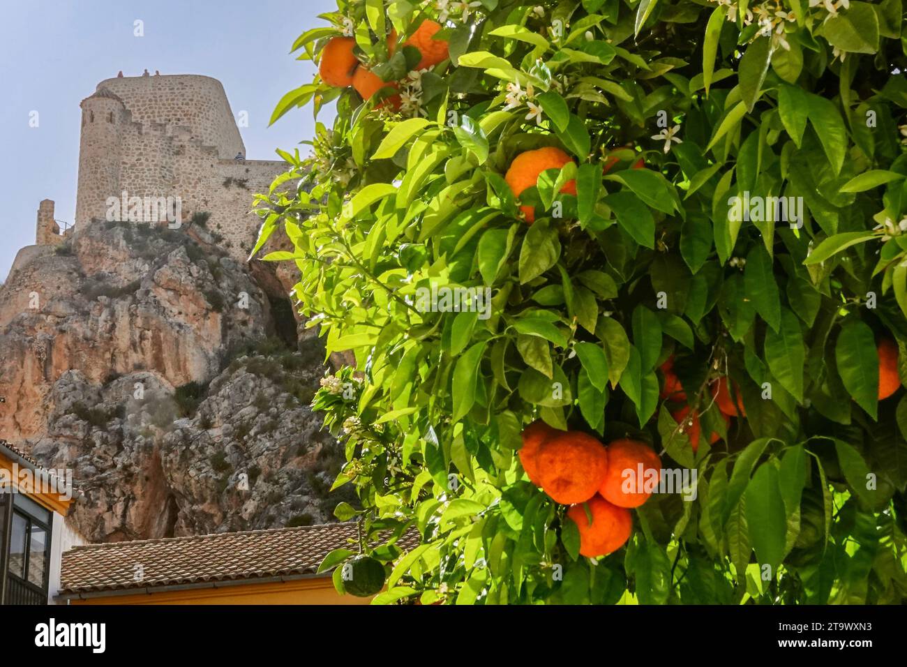 The Castle of Olvera, a Moorish castle build by Arabs in the 12th ...