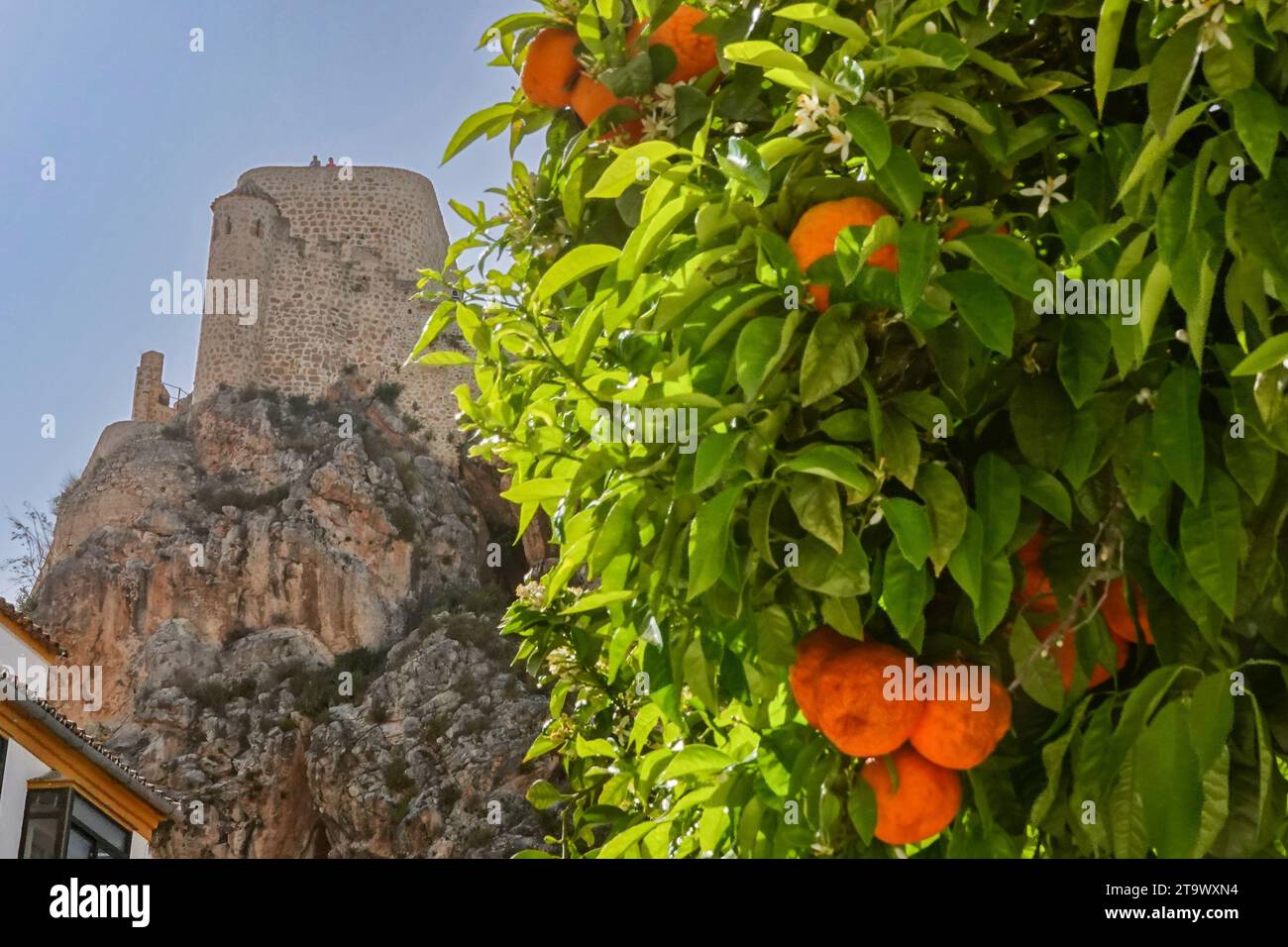 The Castle of Olvera, a Moorish castle build by Arabs in the 12th ...