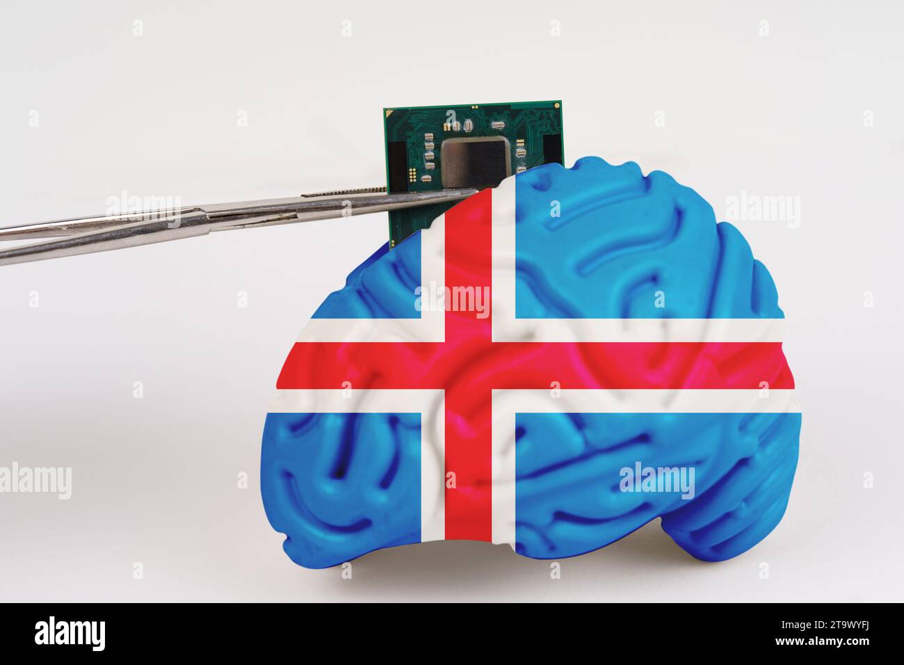 On a white background, a model of the brain with a picture of a flag ...
