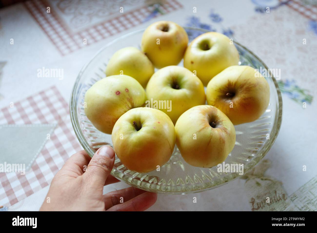 White apples on the vase holded by woman arm Stock Photo - Alamy