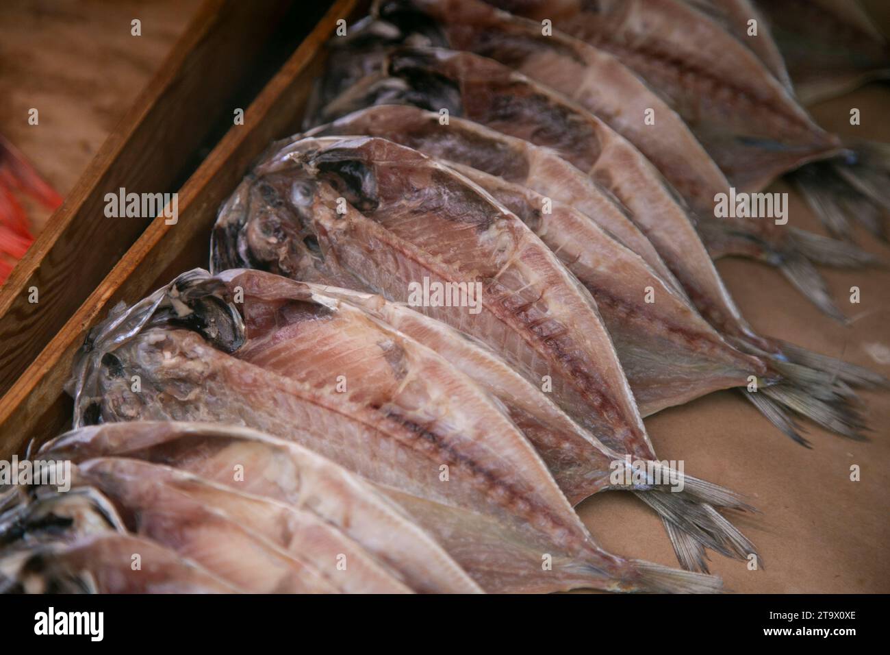 Ito, Japan; 1st October 2023: Fish at a Dried Fish shop in Ito City ...