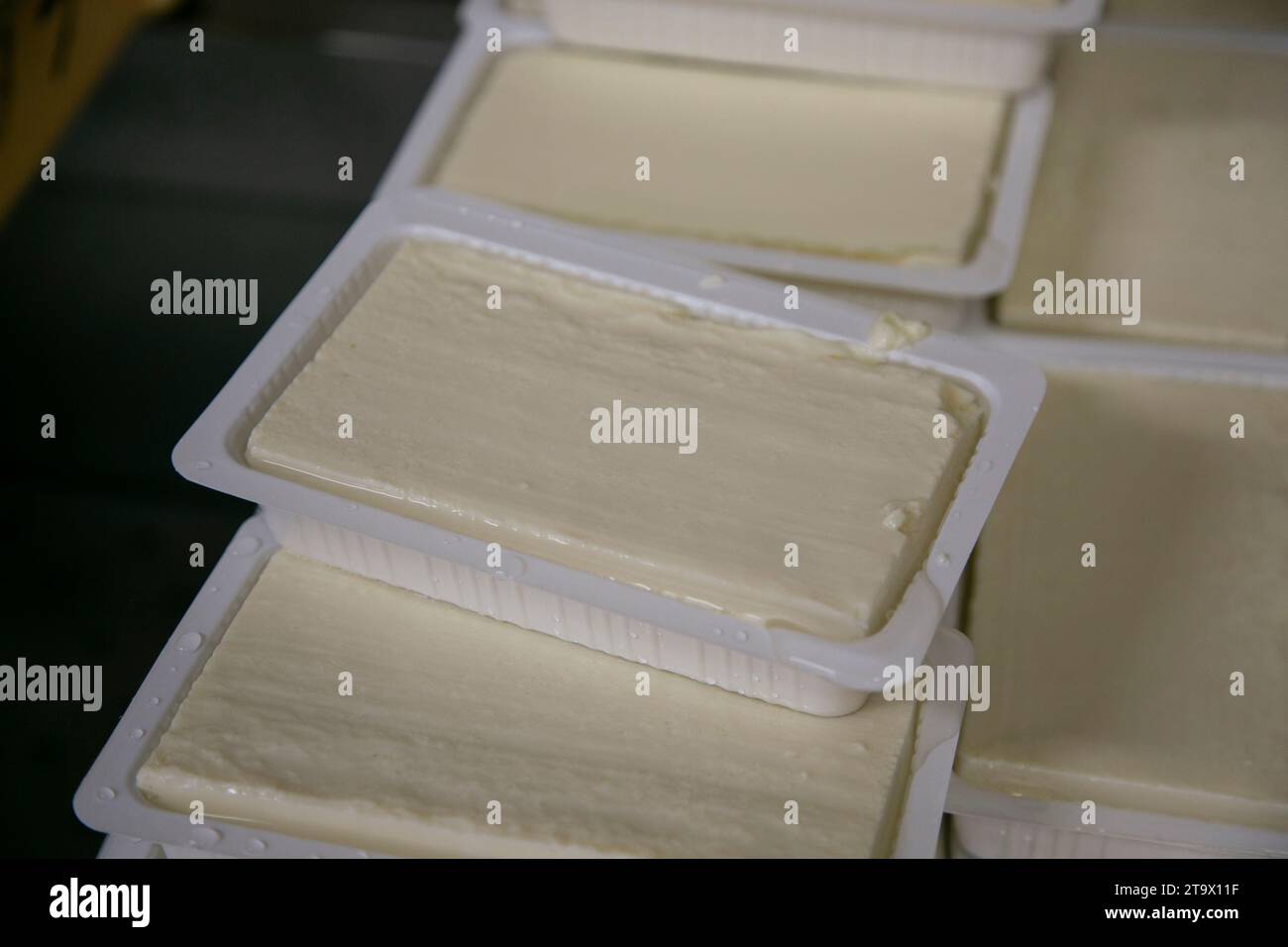 Fresh tofu portions to sell at a Tofu Shop in Shizuoka, Japan Stock ...