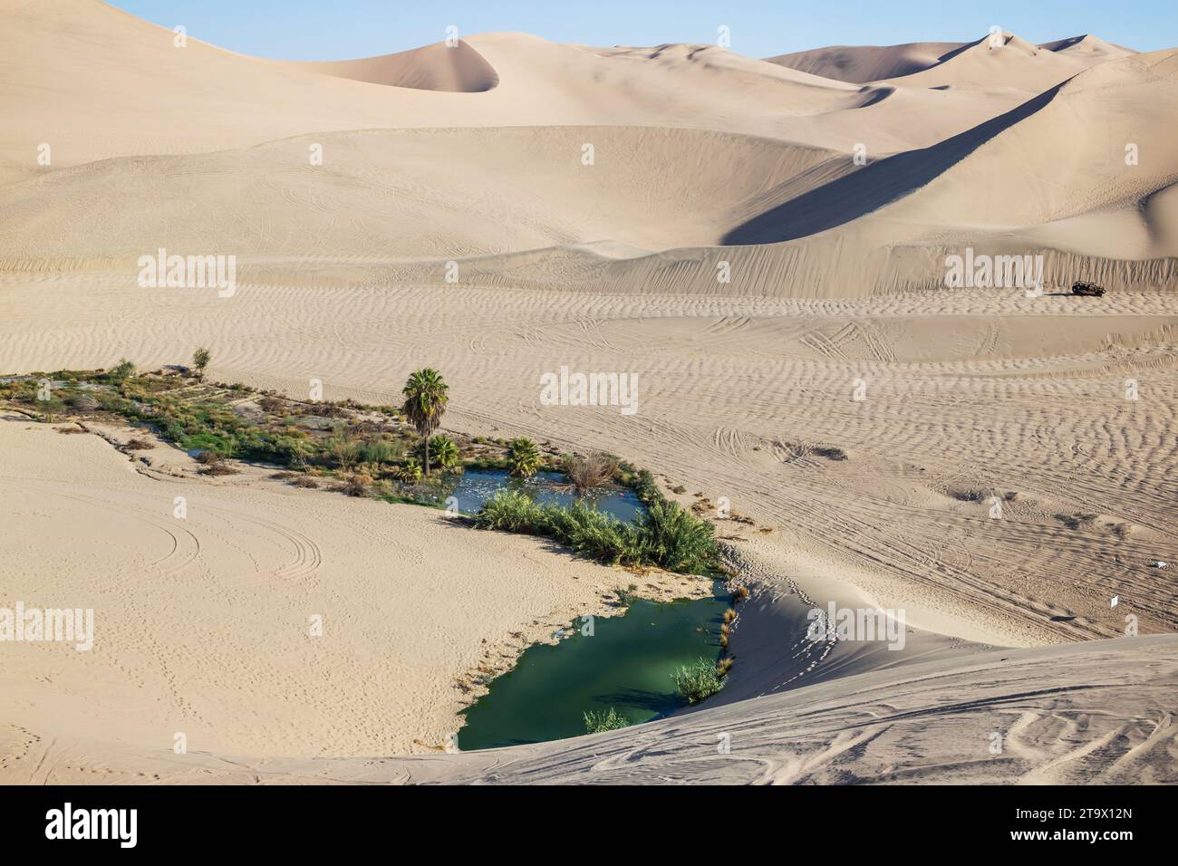 Oasis in the sand desert near Ica city in Peru. Lake and trees inside ...