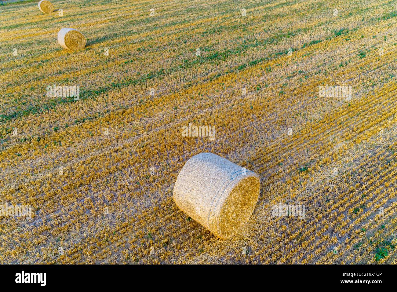 Aerial view field after harvesting hi-res stock photography and images - Alamy