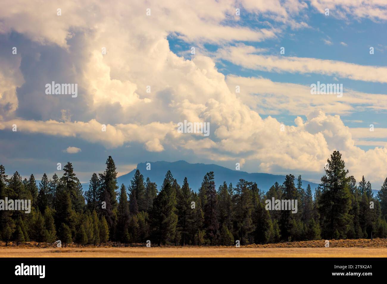Oregon's high desert beautiful landscape near Sisters, Oregon named ...