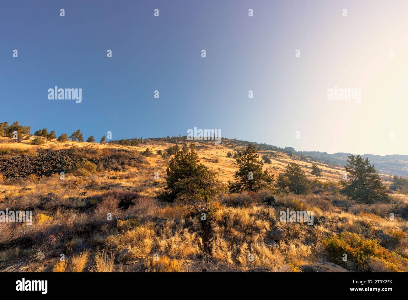 Landscape scenery while driving along the shoreline of Klamath Lake in ...