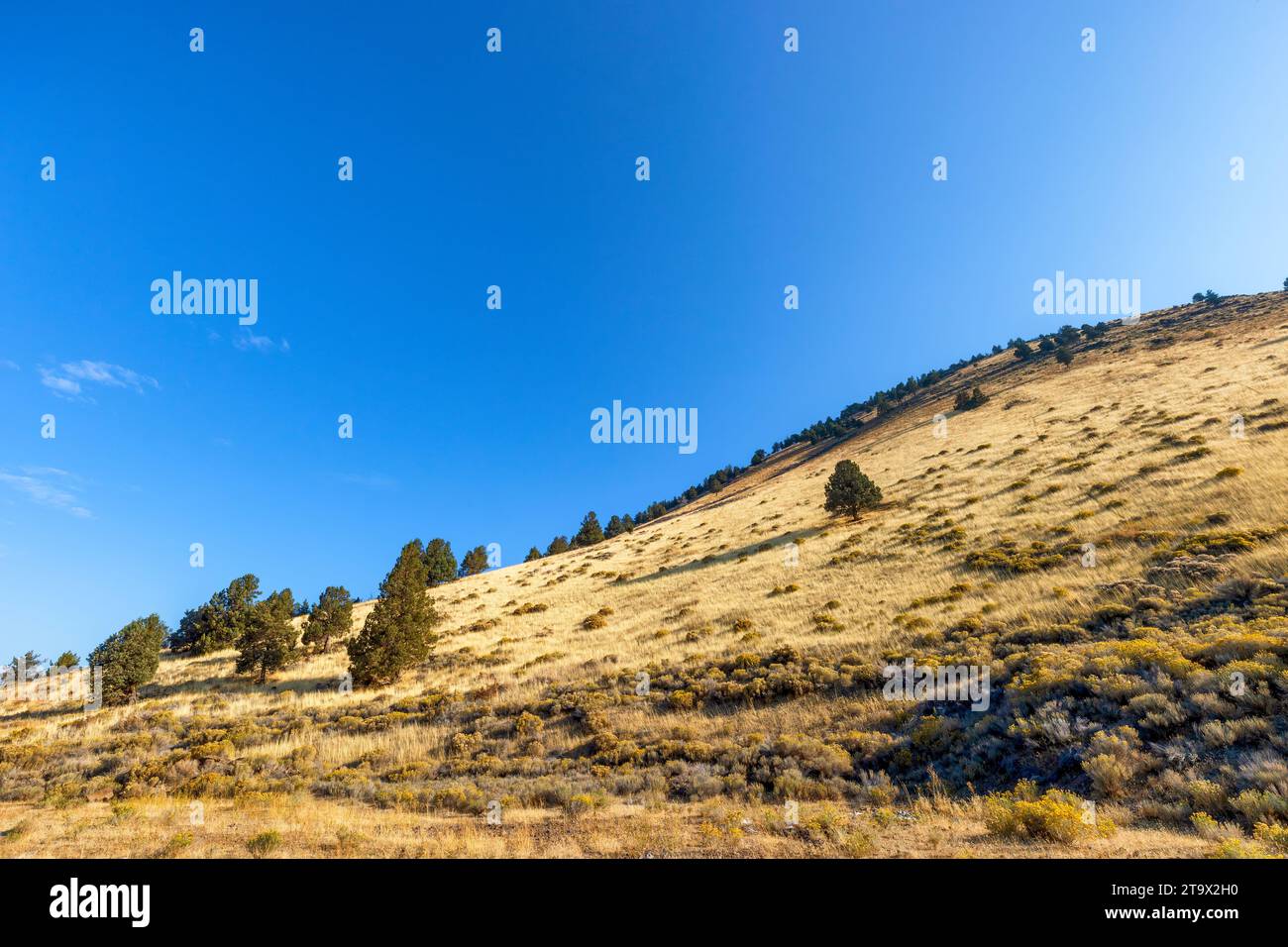 Landscape scenery while driving along the shoreline of Klamath Lake in ...