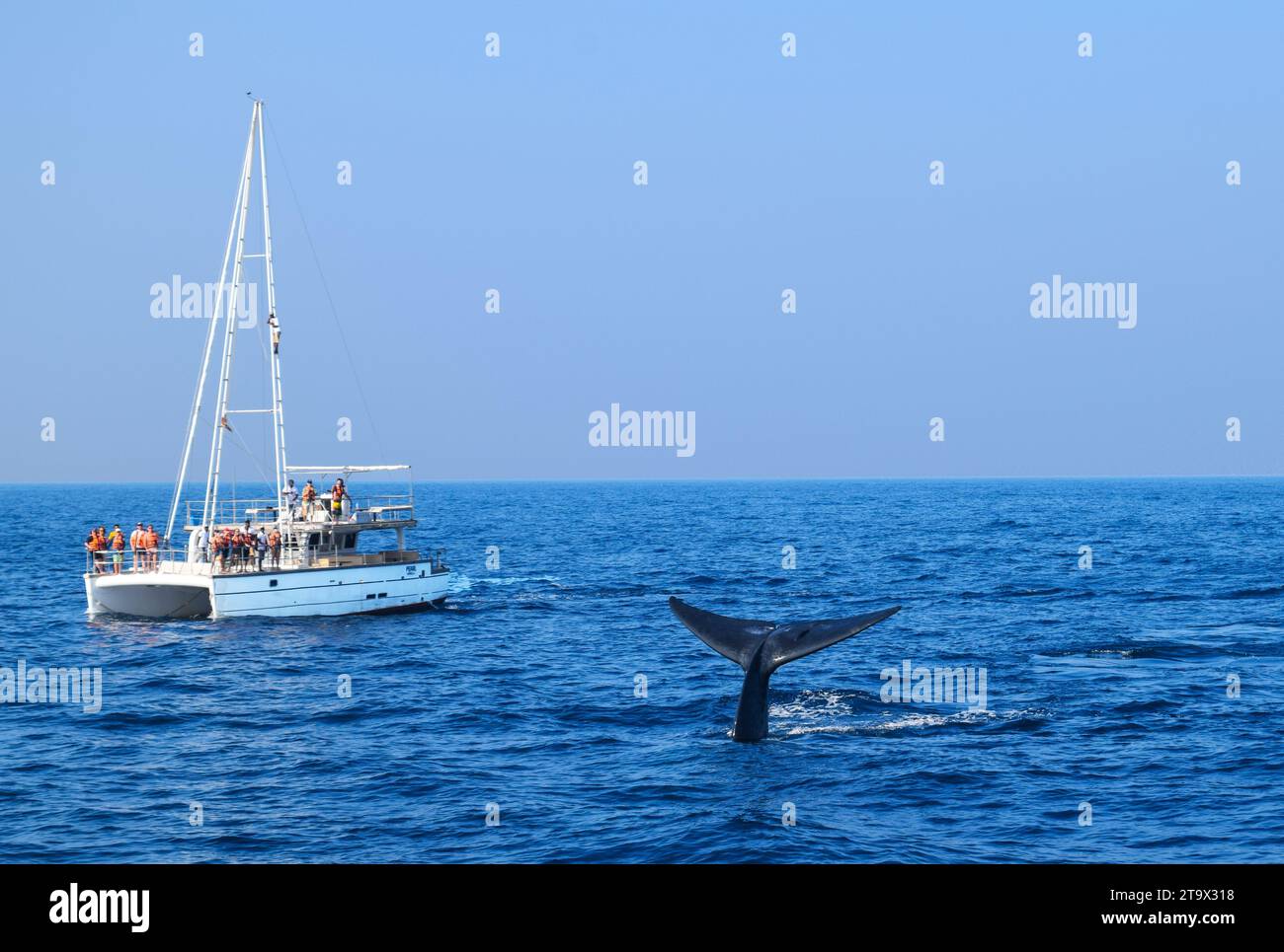 A large boat sailing in a body of water with people standing on the ...