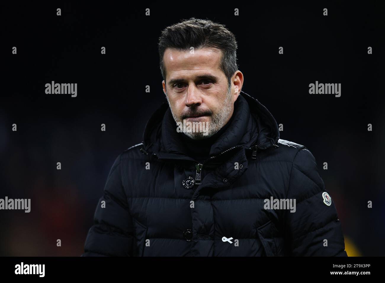 Fulham fc hi-res stock photography and images - Alamy