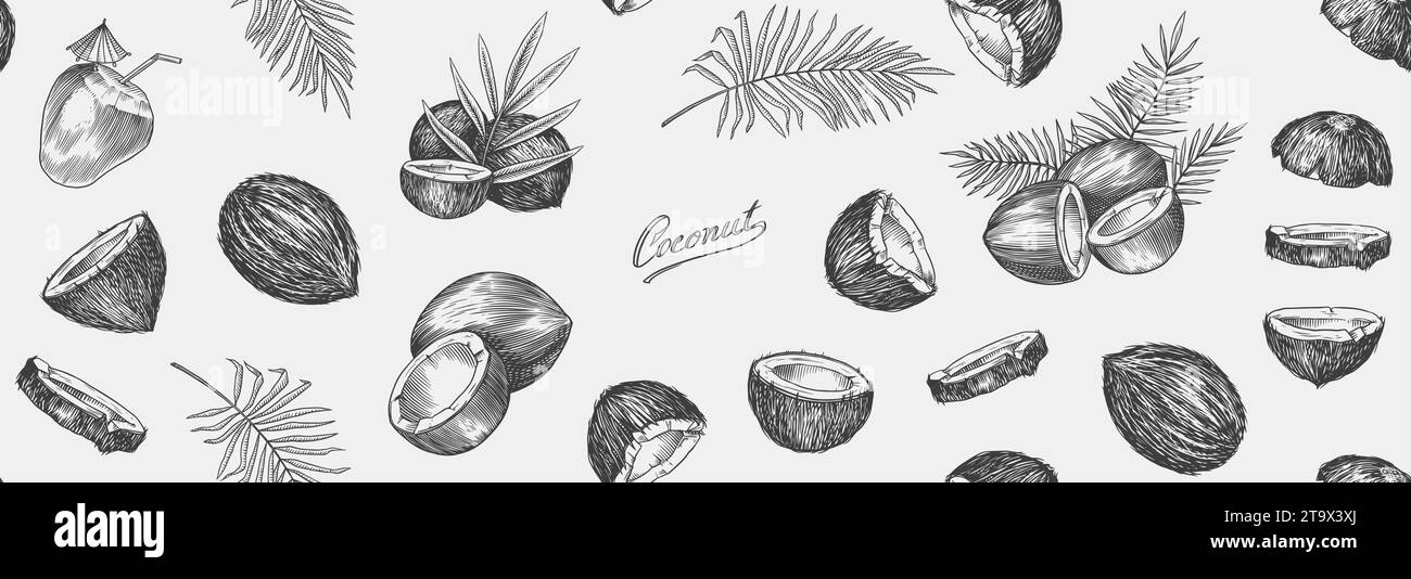 Coconut sketch. Tropical food and palm leaf. Retro ink style. Hand ...