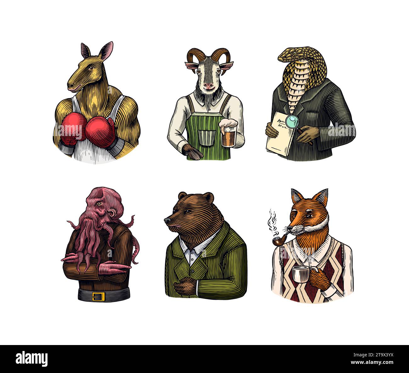 Grizzly Bear, Octopus, t-rex dinosaur, Elephant, Indian cobra snake ...