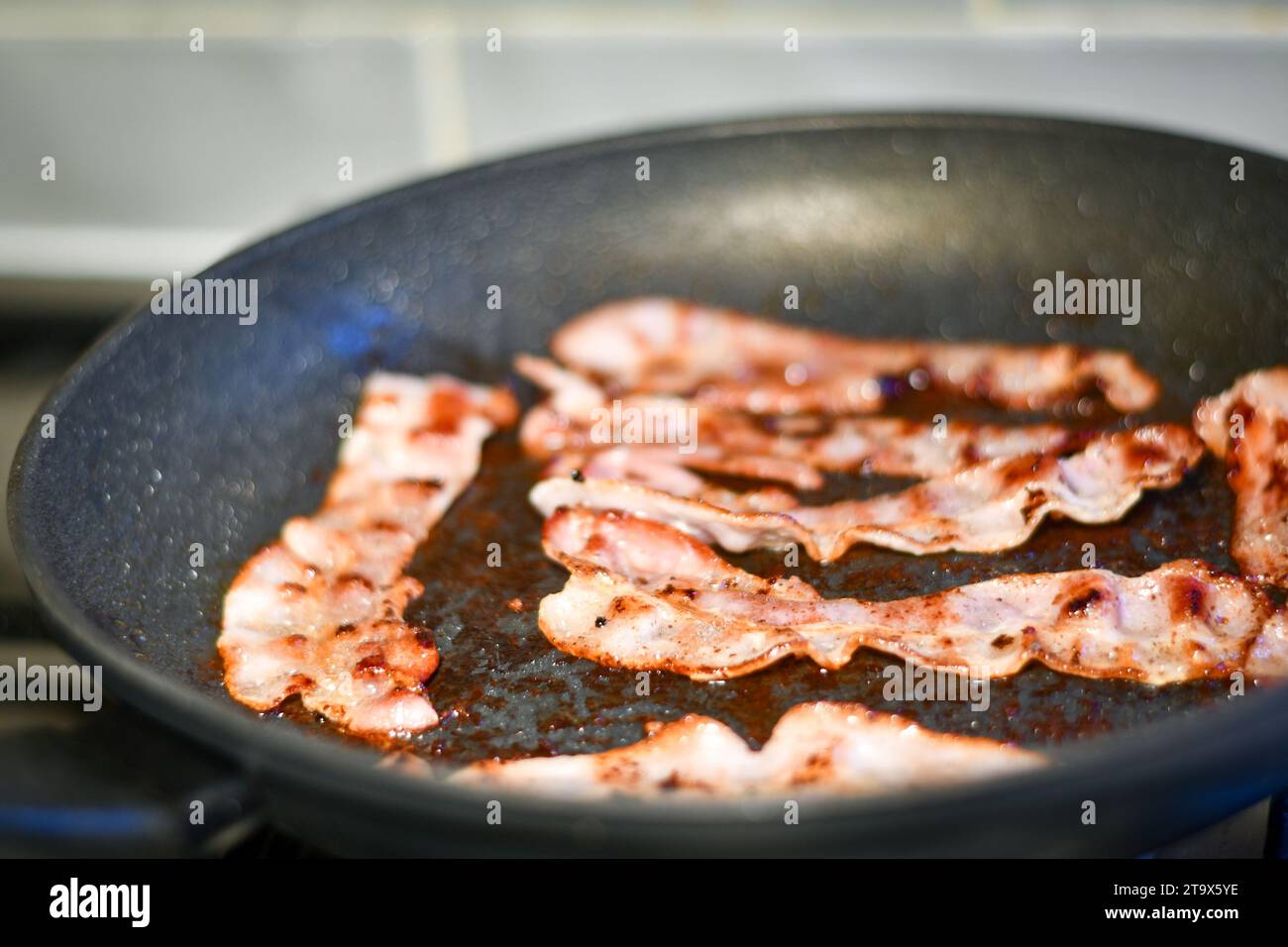 Share sandwich student hi-res stock photography and images - Alamy