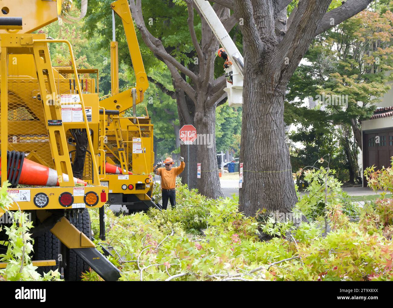Tree trimming truck hi-res stock photography and images - Alamy