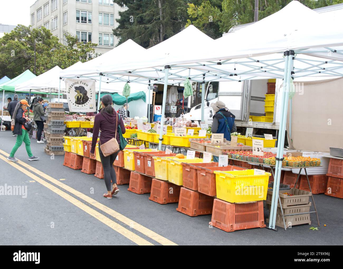 Berkeley, CA - Sept 30, 2023: Downtown Berkeley farmers market. open ...