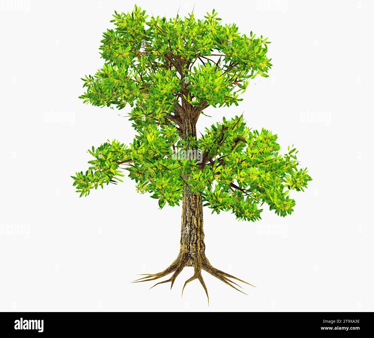 Prehistoric plants Cut Out Stock Images & Pictures - Alamy