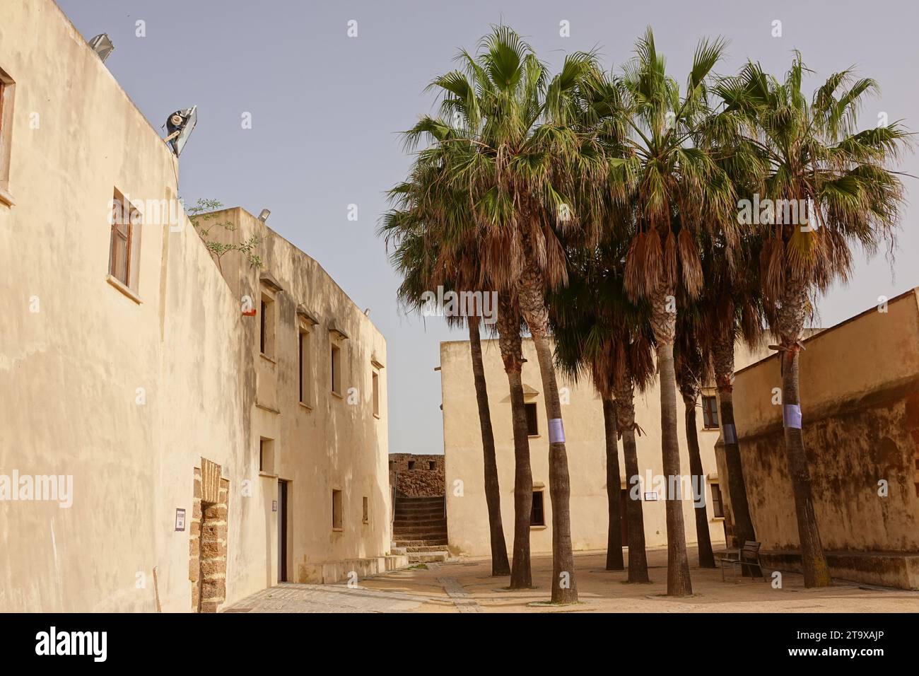 Pentagon courtyard hi-res stock photography and images - Alamy
