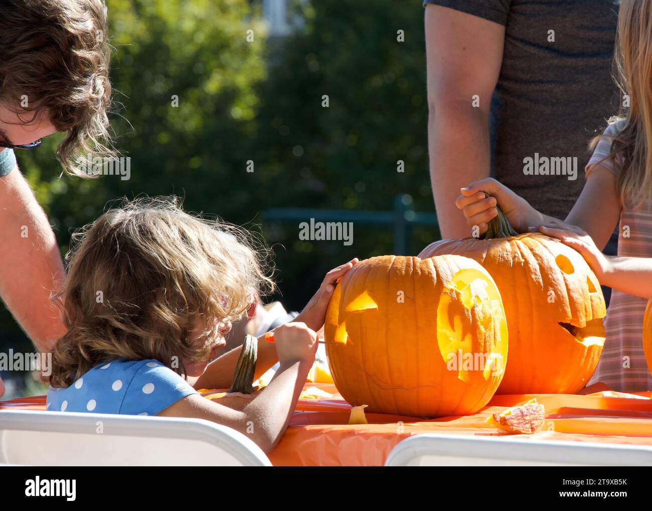 San Francisco, CA - Oct 23, 2023: Kids carving pumpkins at Senator ...