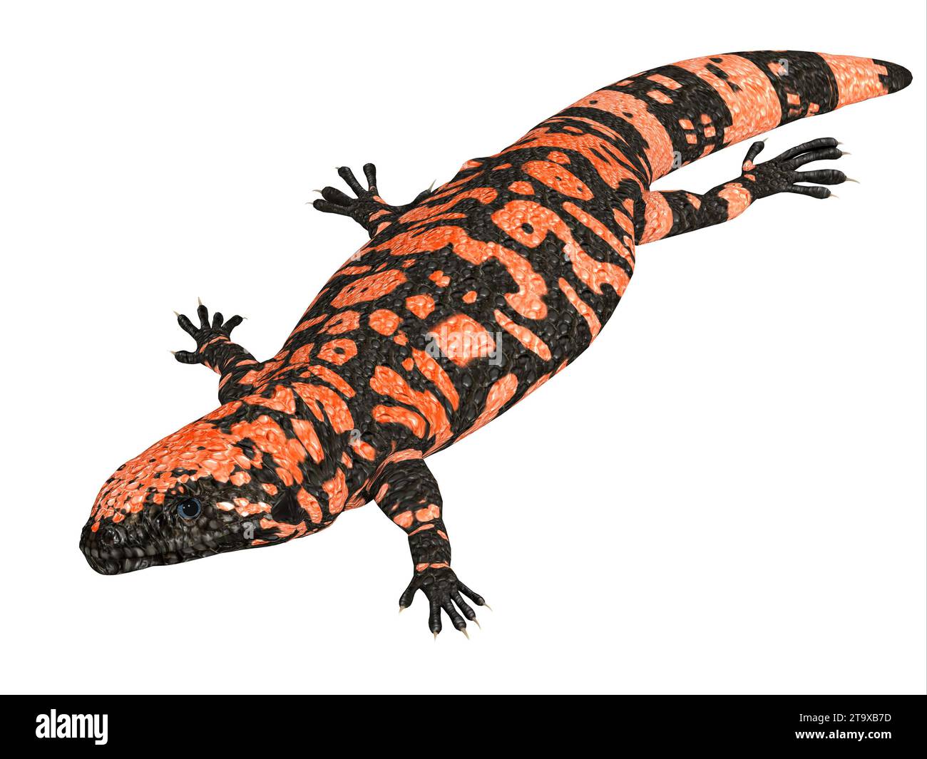 The Orange Gila Monster is a poisonous carnivorous lizard that lives in ...