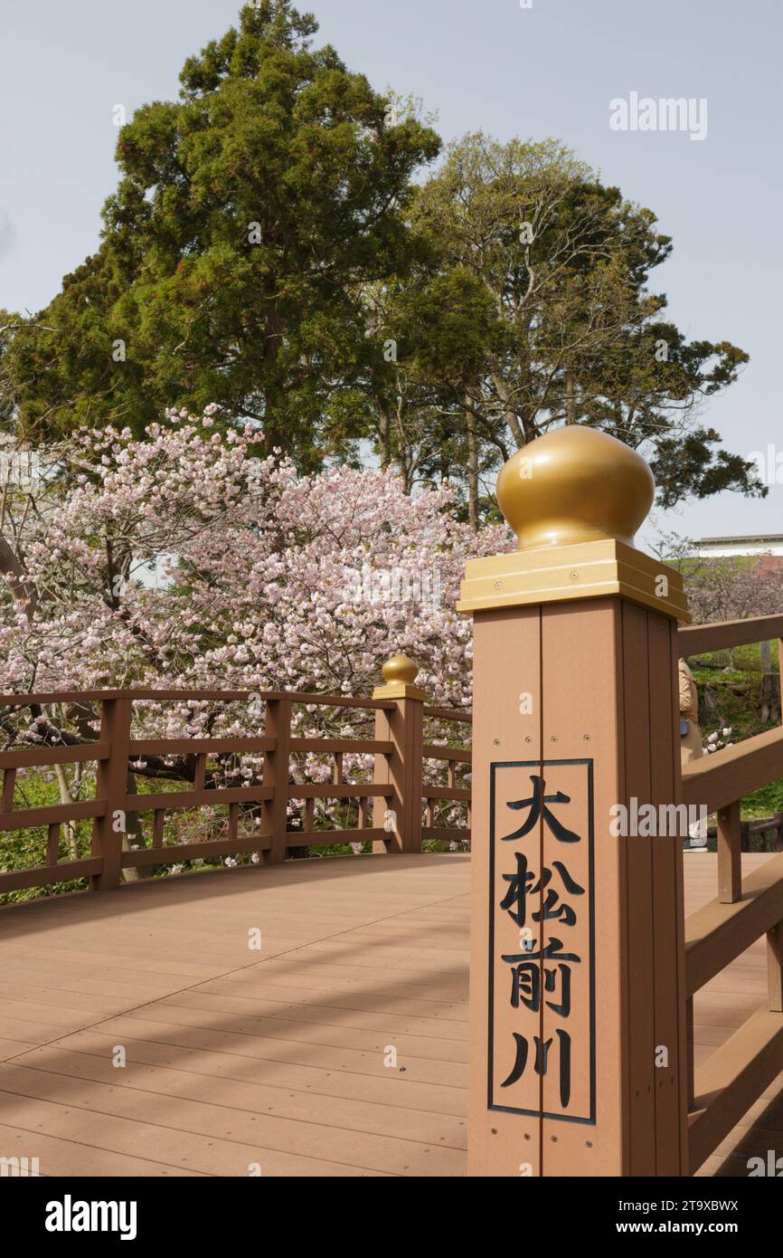 Japan bridge cherry blossom hi-res stock photography and images - Alamy
